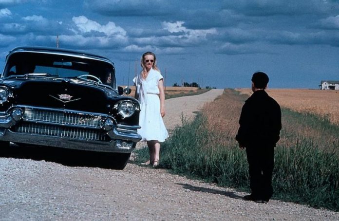 Reflecting Skin - Schrei in der Stille Kritik