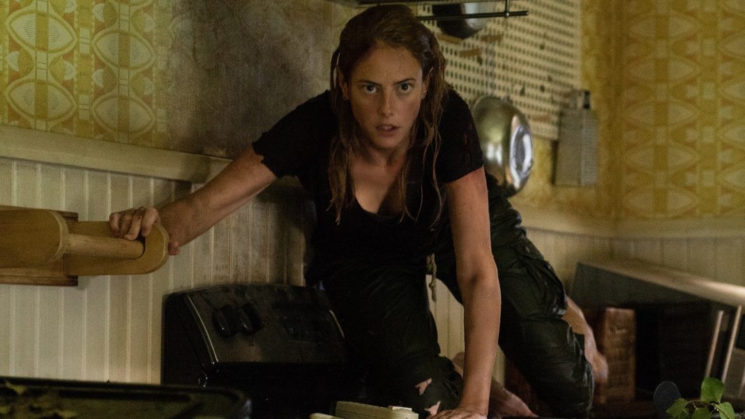 Crawl (2019) - Unsere Filmkritik