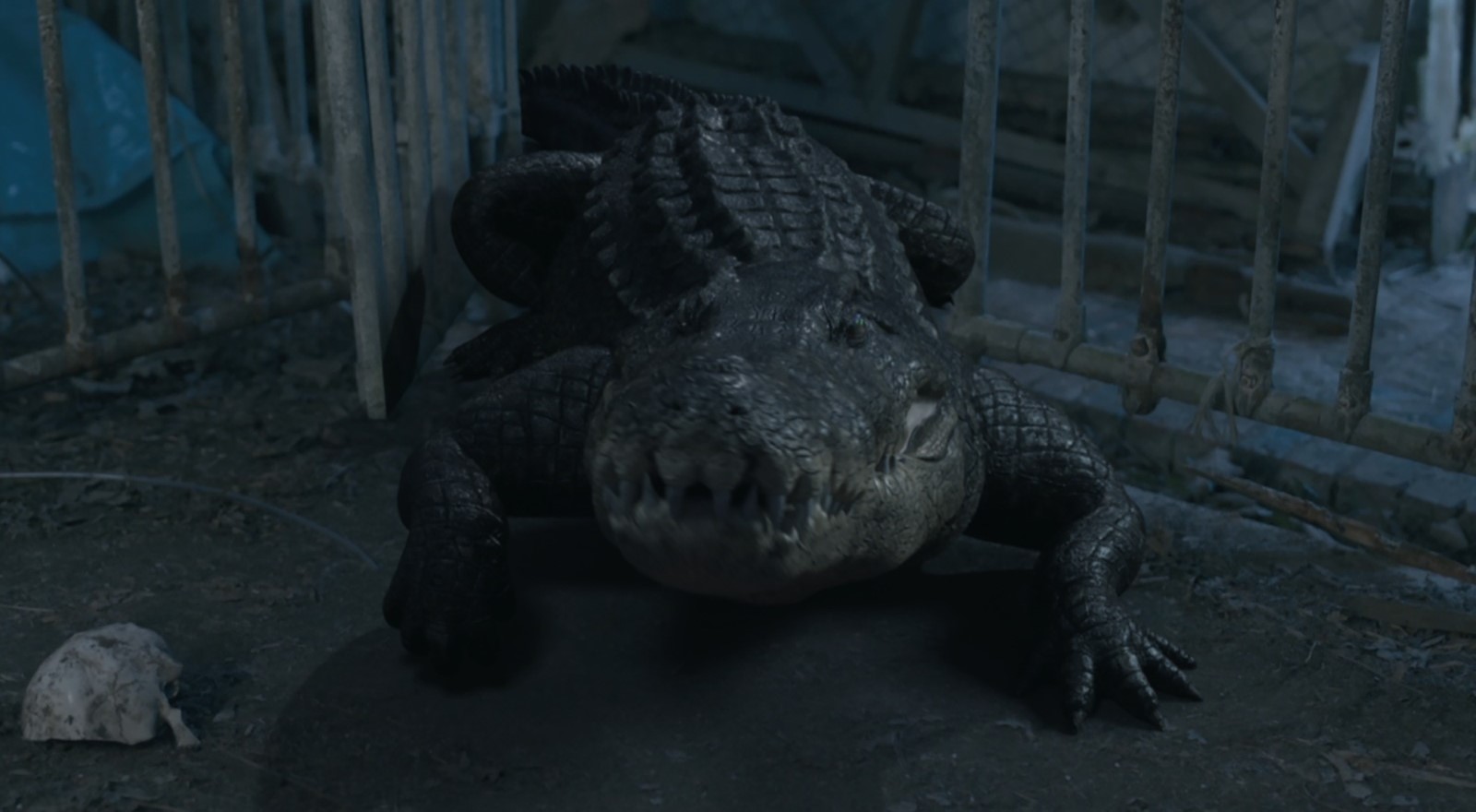 Hungrige Krokodile crashen eine Hochzeit im Trailer zum Tierhorrorfilm ...