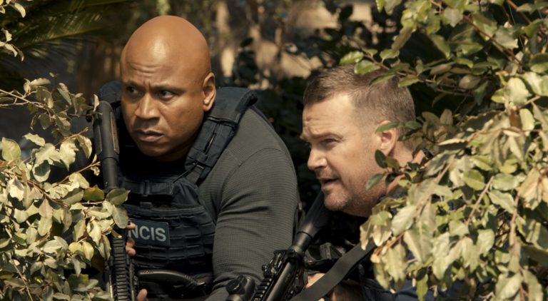 "Navy CIS: L.A." endet nach 14 Staffeln