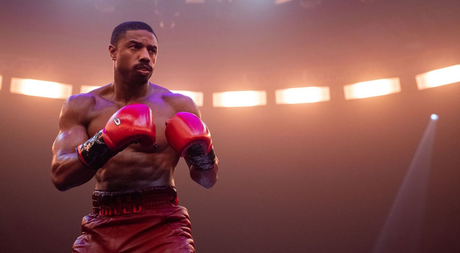 "Creed 4" ist bestätigt, ein "Creed"-Film- und Serienuniversum sind in ...