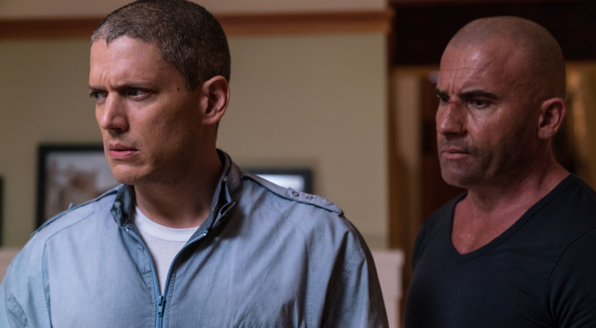 "Snatchback": Serien-Reunion der "Prison Break"-Stars angekündigt
